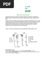 JROTC Saber Manual and Drill Techniques | PDF | Hand | Sword