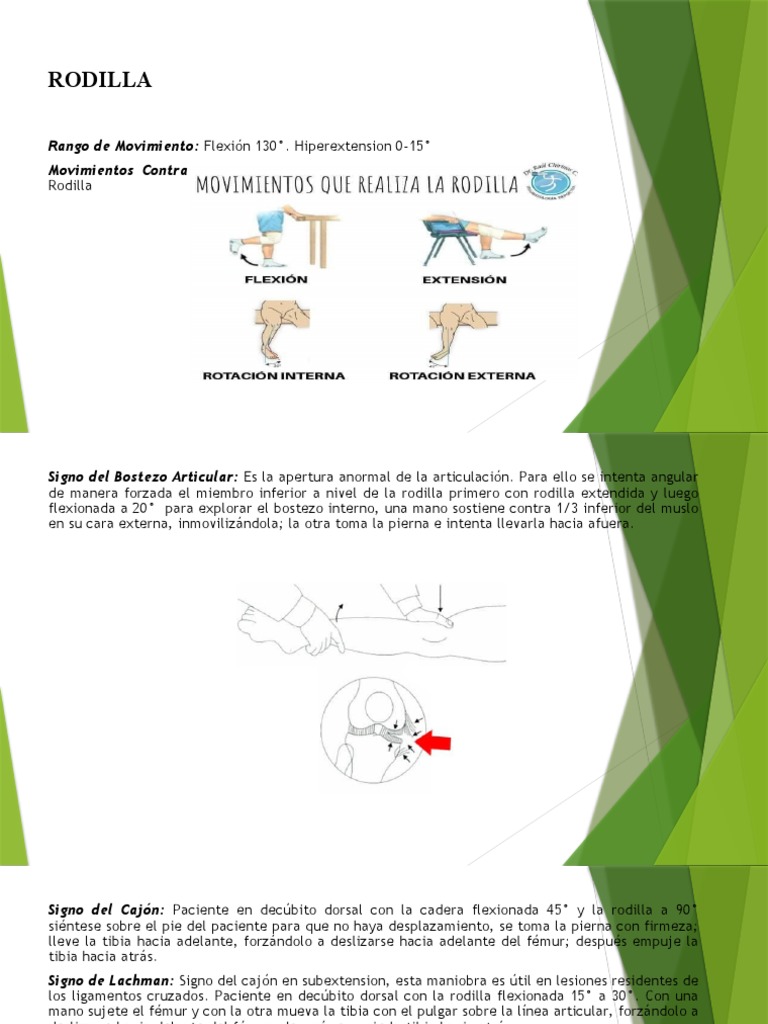 Clonus de la Mano | PDF | Rodilla | Sistema musculoesquelético