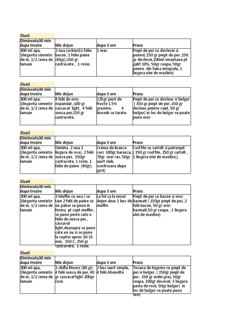Program PT Slabit | PDF