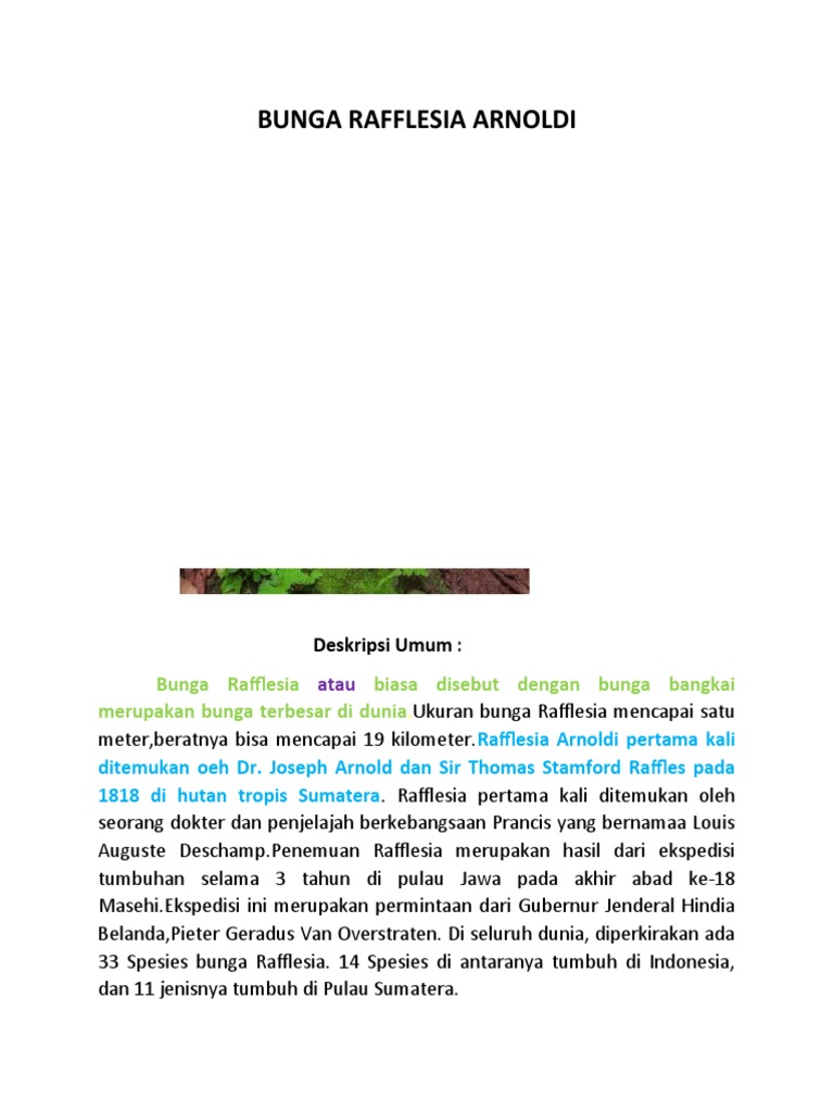 Rafflesia Arnoldi: Bunga Terbesar dan Langka di Dunia | PDF | Sains & Matematika