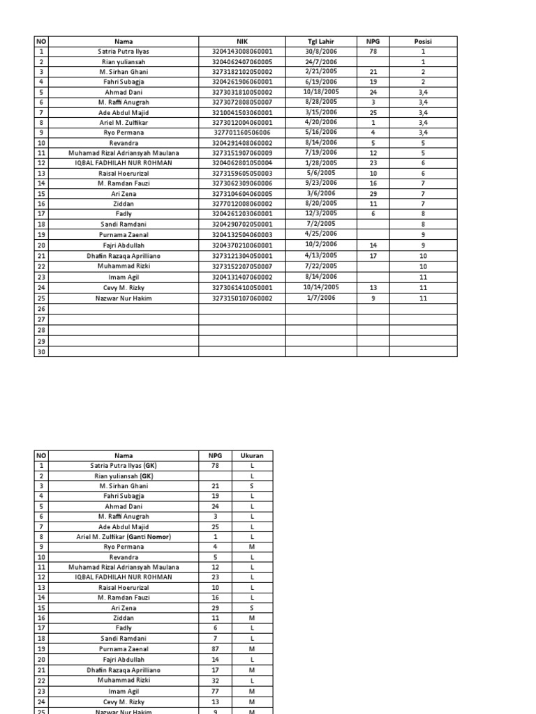 Daftar Pemain & Ofisial U17 | PDF