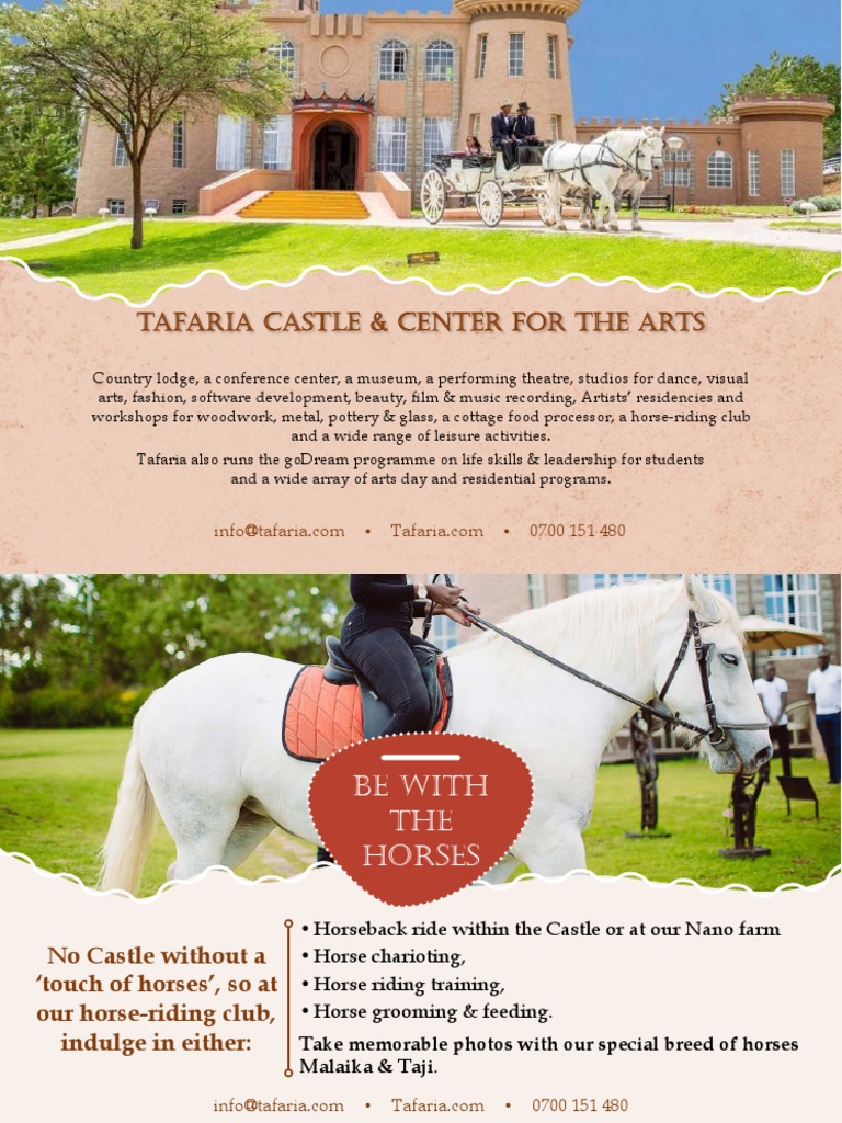 Tafaria Catalogue | PDF