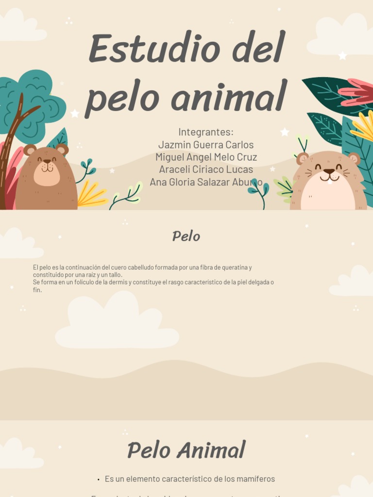 Estudio del Pelo Animal y sus Características | PDF
