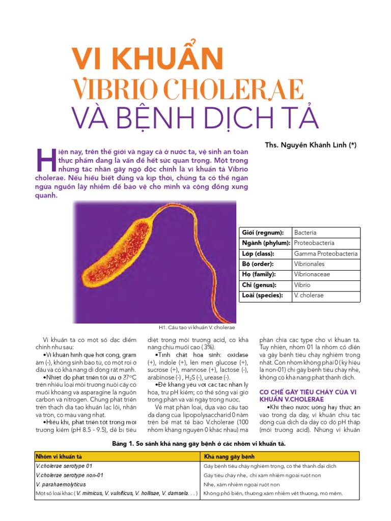 Vibrio Cholerae | PDF
