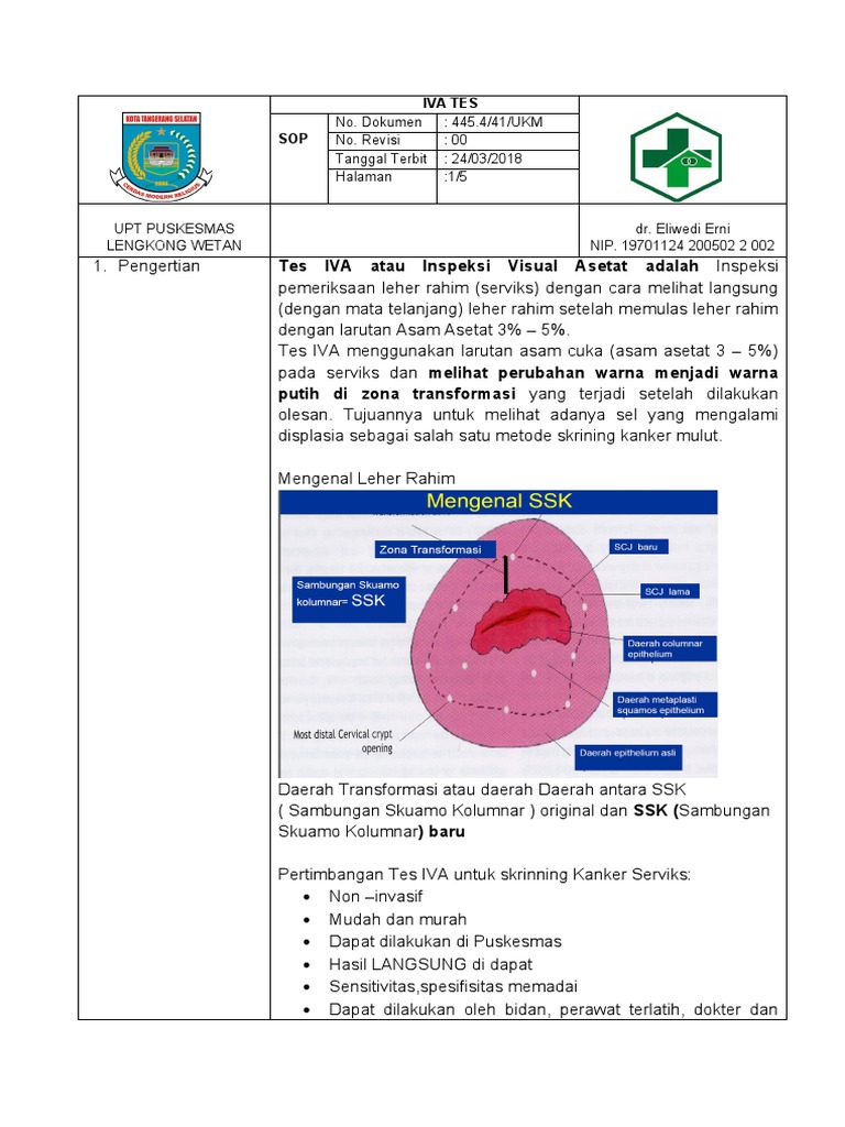 Panduan Tes IVA di Puskesmas | PDF