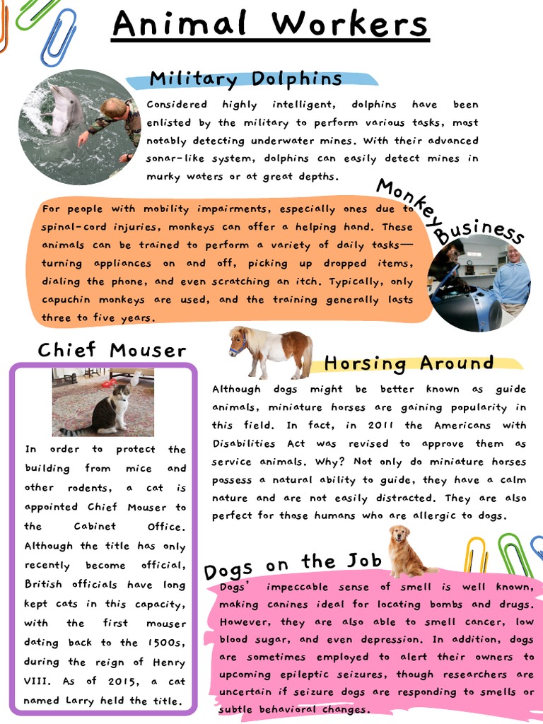 Animal Workers | PDF