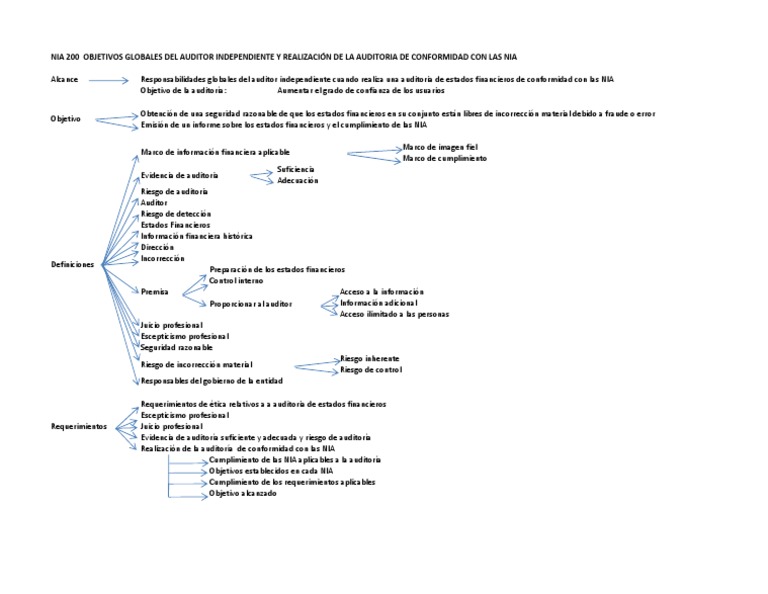 Esquema NIA 200 | PDF | Auditoría | Business
