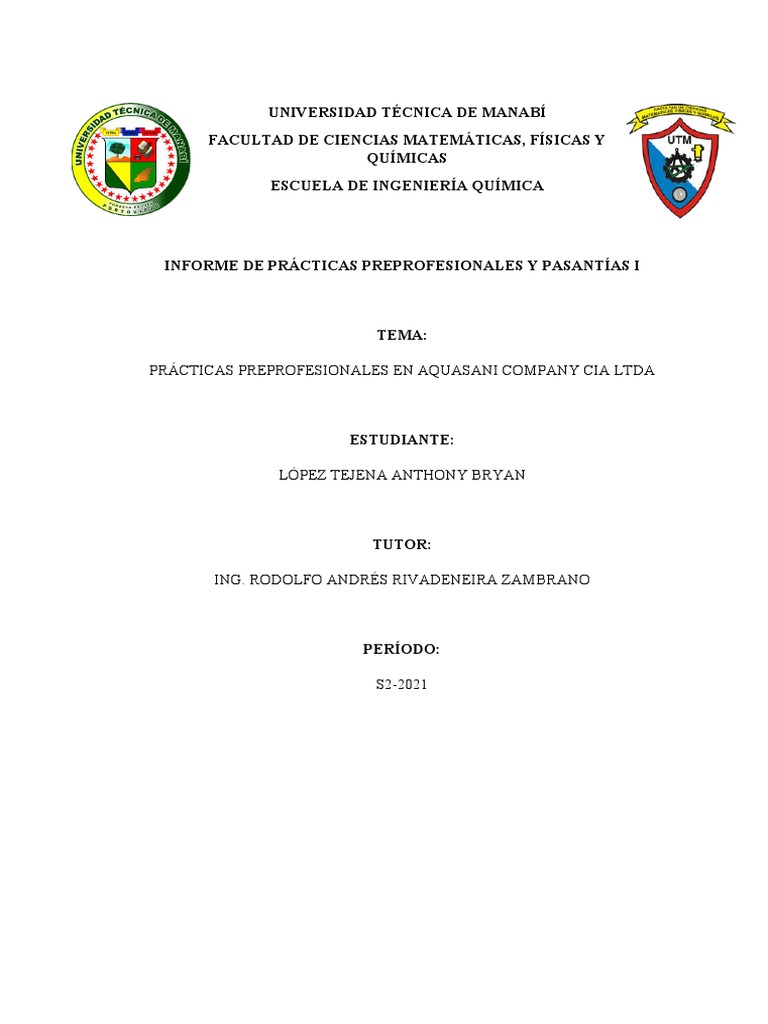 Informe Final PPP I Anthony | PDF