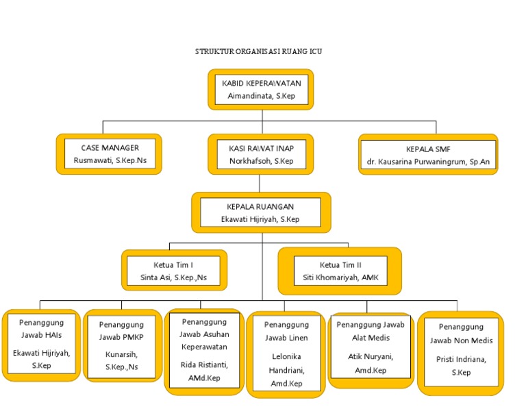 Struktur Organisasi Ruang ICU Rumah Sakit | PDF