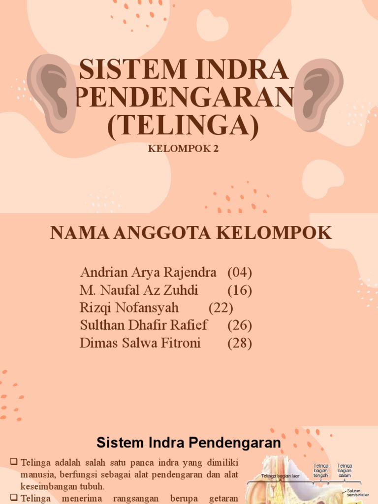 Sistem Indra Pendengaran (Telinga) : Kelompok 2 | PDF | Kajian Bahasa Asing | Sains & Matematika