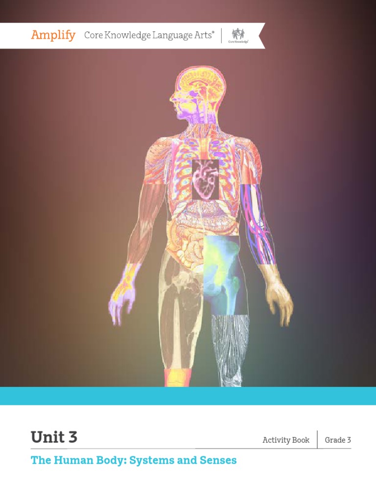 Unit 3: The Human Body: Systems and Senses | PDF | Vertebral Column | Bone