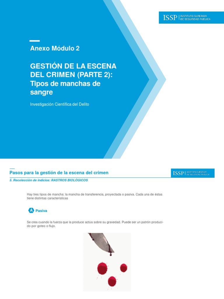 Modulo 2B - Manchas de Sangre | PDF