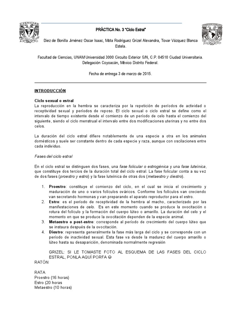 Ciclo Estral | PDF | Zoología | Reproducción sexual