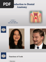 Aaos Rom Values | PDF | Anatomical Terms Of Motion | Limbs (Anatomy)