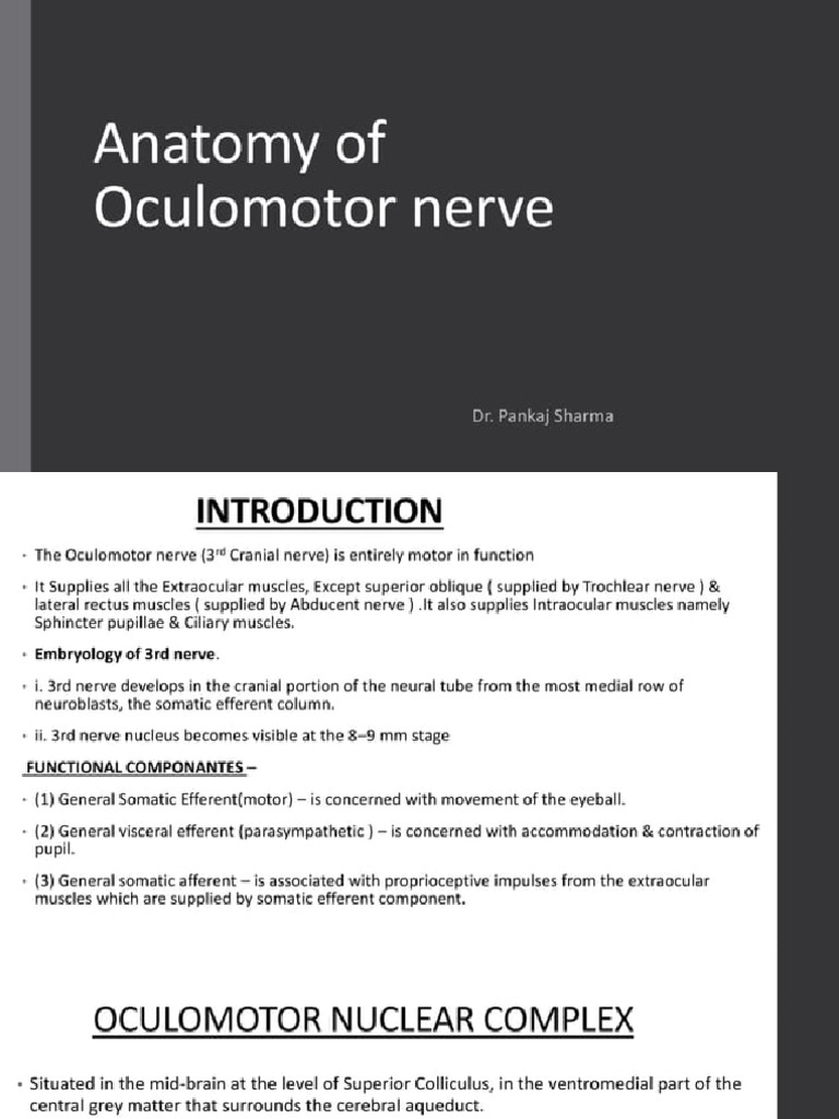 Anatomy of Oculomotor Nerve | PDF