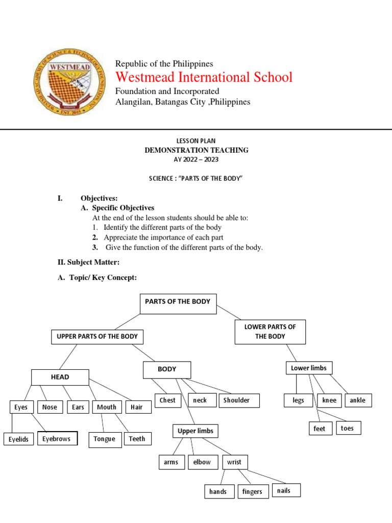 ECED 2 Lesson Plan | PDF | Senses | Hand