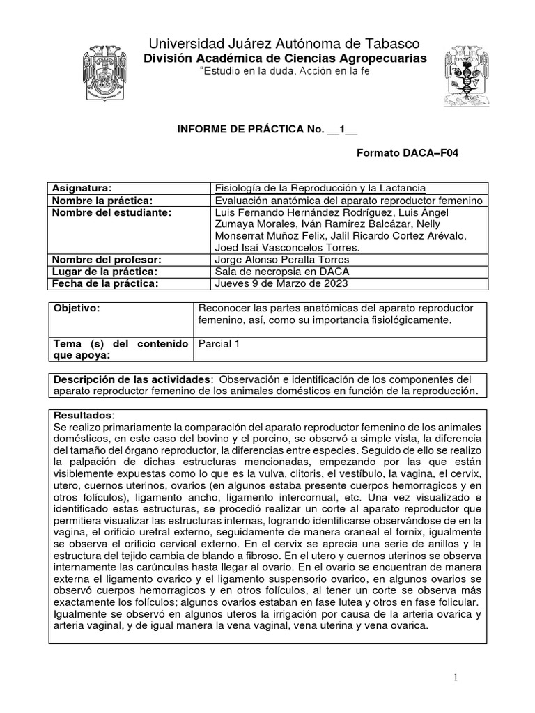 Reporte FRL | PDF | Vagina | Ovario