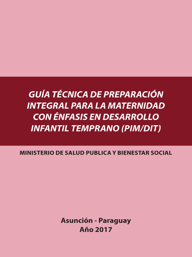 Guía Técnica de Preparación Integral para La Maternidad Con Énfasis en Desarrollo Infantil ...