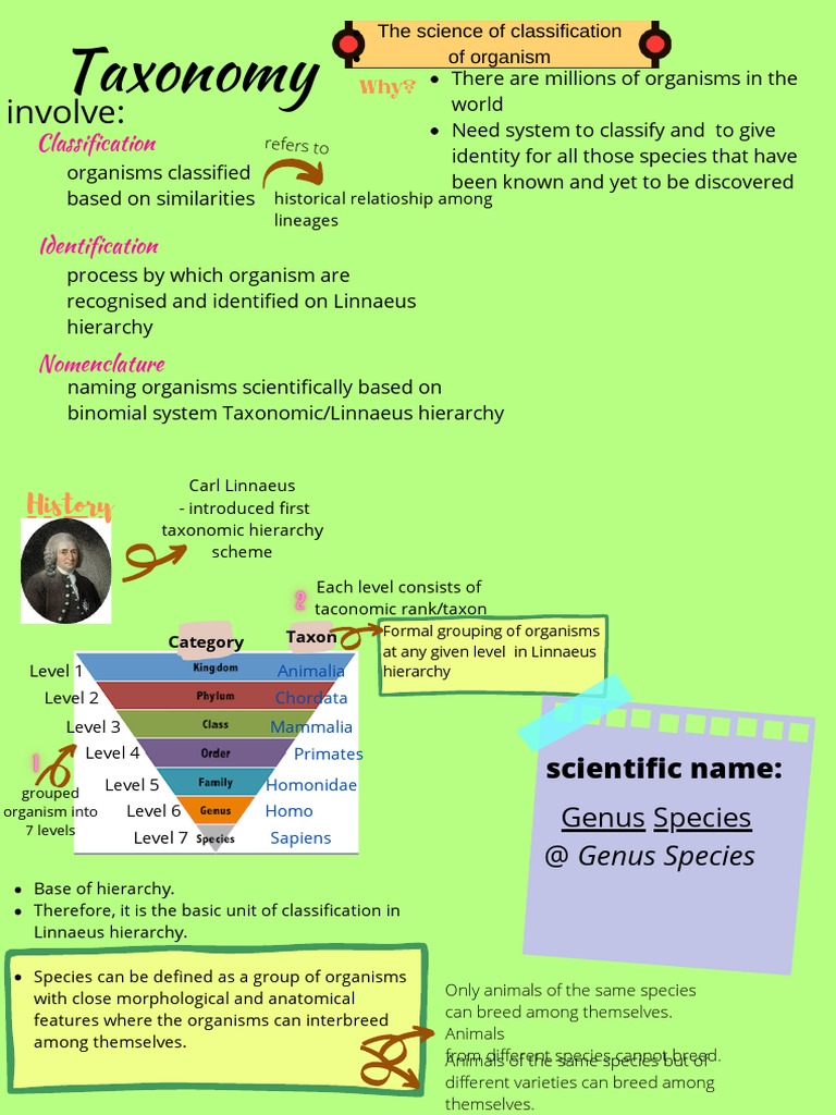 A. Animal Diversity | PDF | Taxonomy (Biology) | Sponge