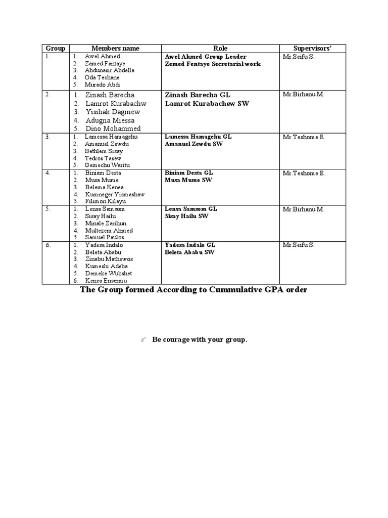 Group Members and Roles Overview | PDF