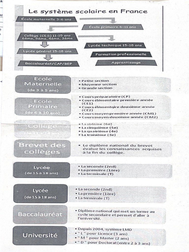 Le Système Scolaire | PDF