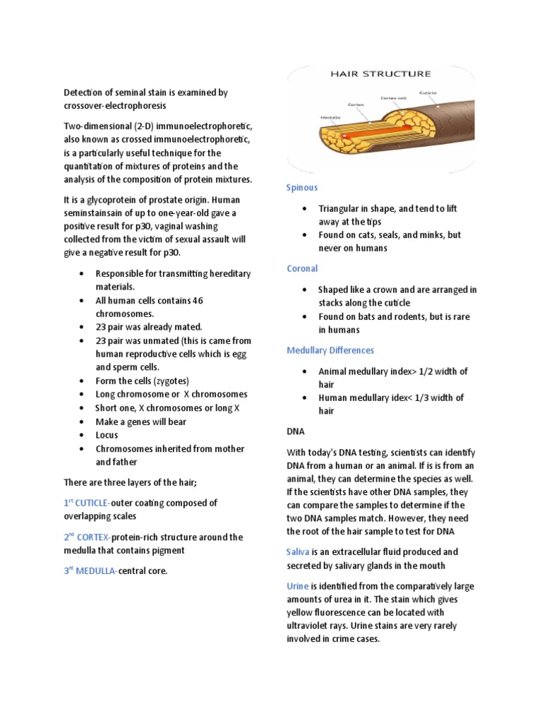 Forensic DNA and Crime Analysis | PDF
