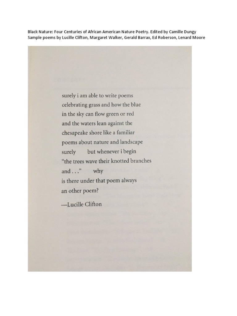 Black Poetry | PDF | General Fiction