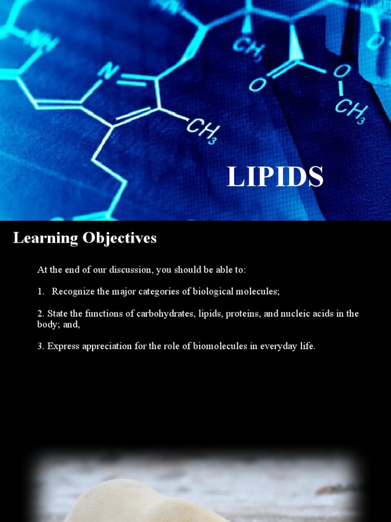 G10 Lesson BIOMOLECULES - Lipids POWERPOINT | PDF