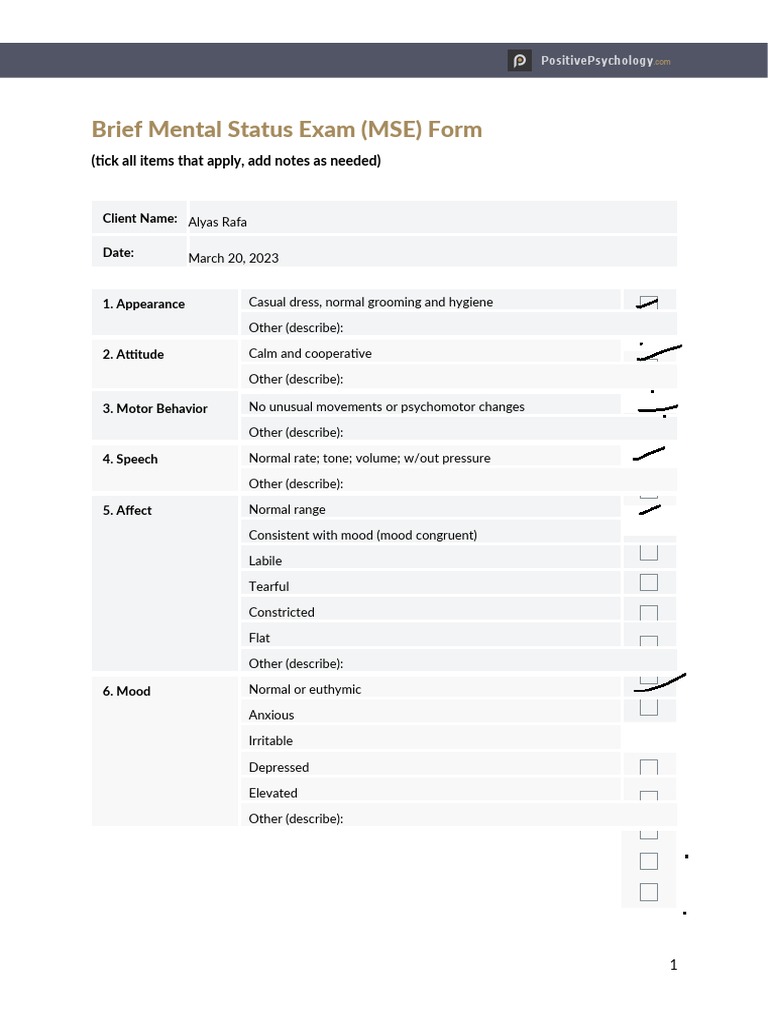 Brief Mental Status Exam Template | PDF | Cognitive Psychology ...