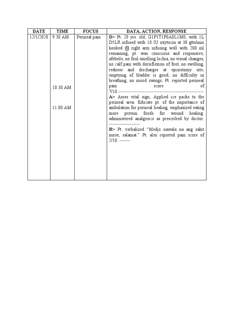 Postpartum Perineal Pain Management FDAR | PDF