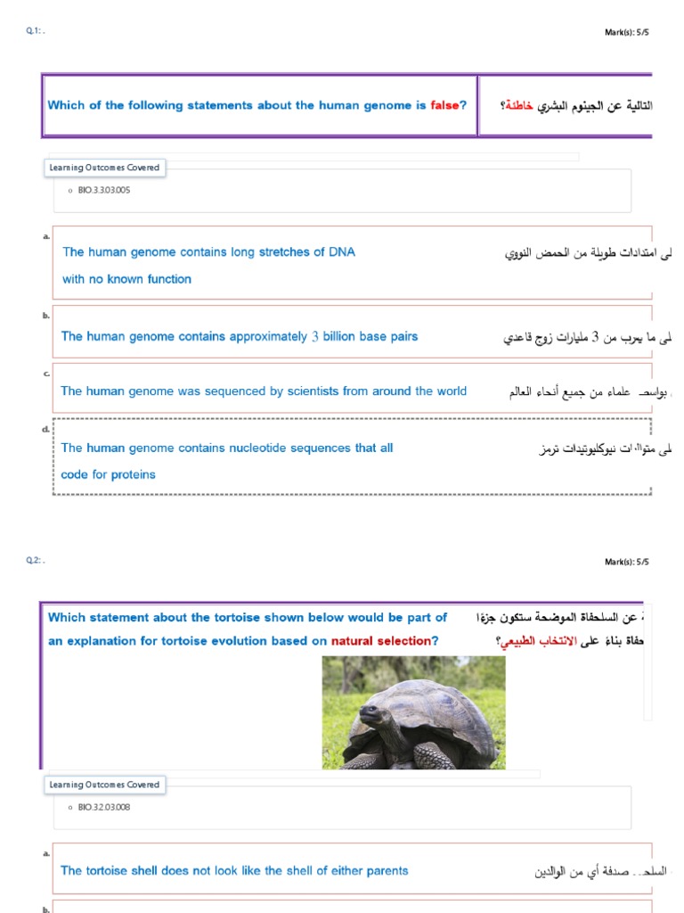 Grade 11A Term 2 Sample Questions 2 | PDF