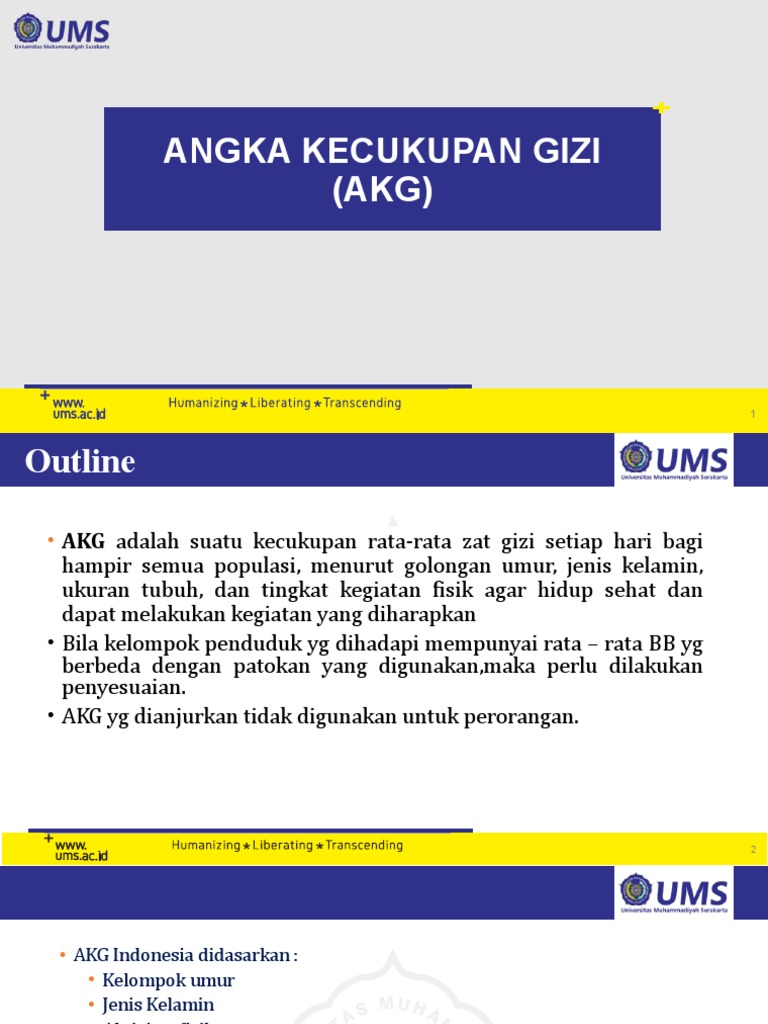 Angka Kecukupan Gizi (AKG) | PDF