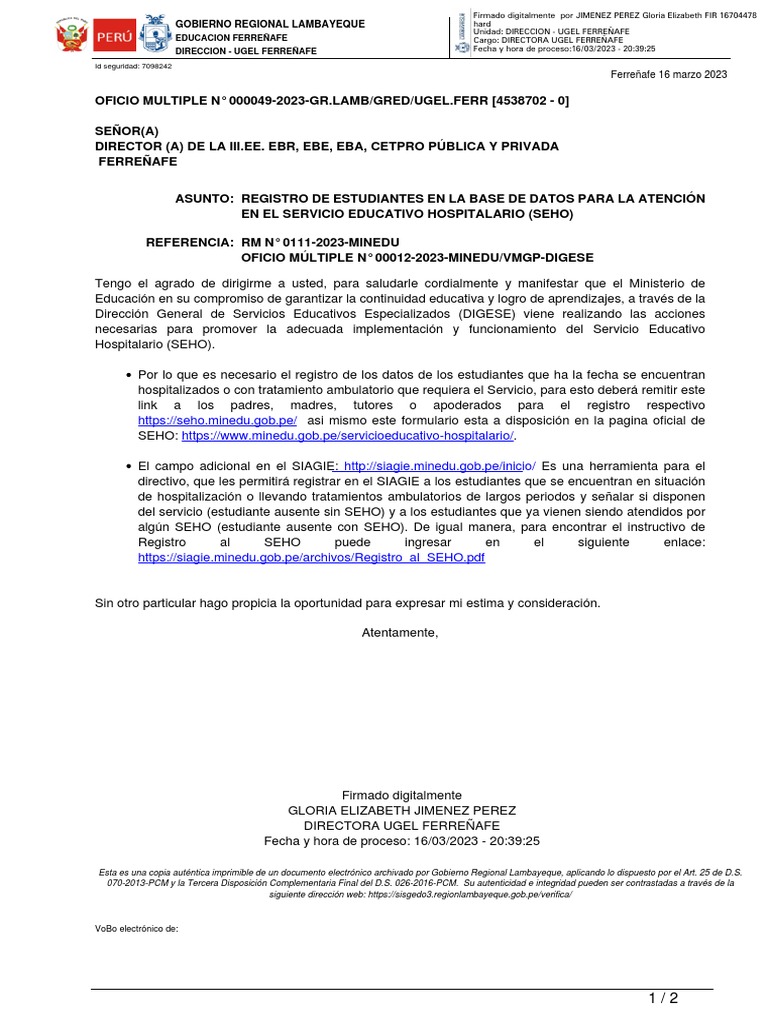 Oficio Multiple para Directores Servicio Educativo Hospitalario Seho | PDF | Informática