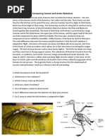 Chicken and Human Skeleton Comparison | PDF | Skeleton | Bone
