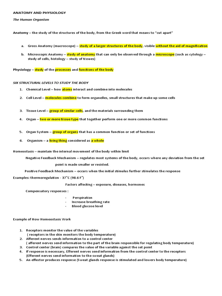 Anatomy And Physiology Module 1 Notes Pdf Human Body Medical