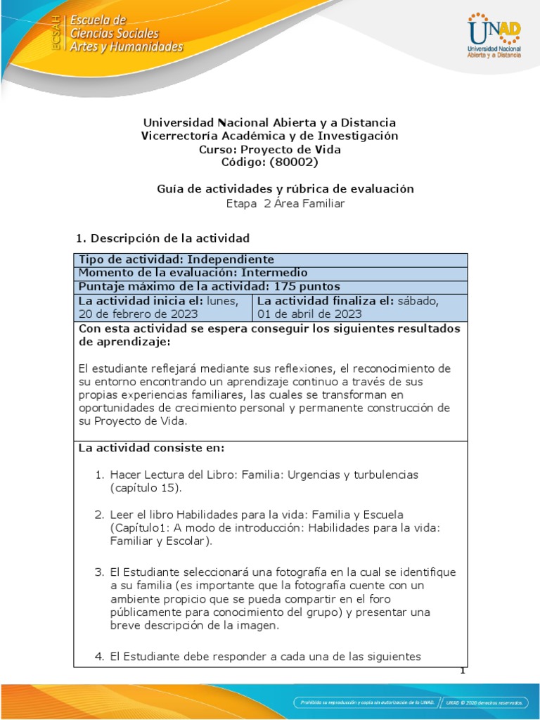 Guía y Rúbrica Evaluación Etapa 2 Familiar | PDF | Evaluación | Plagio