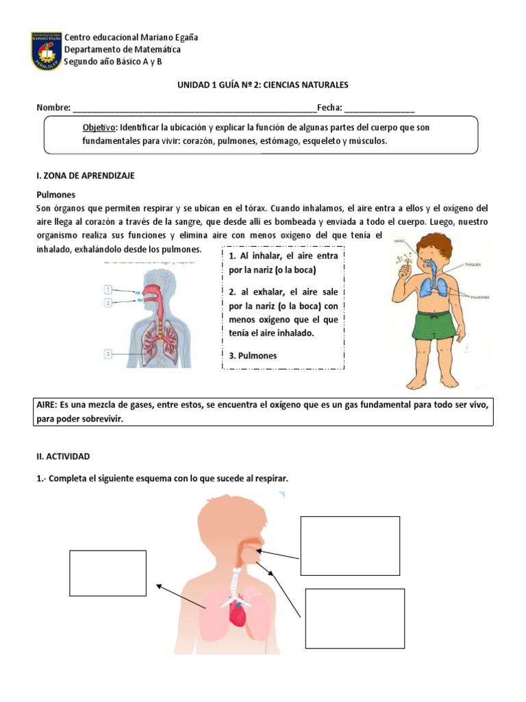Ciencias Integradas | PDF