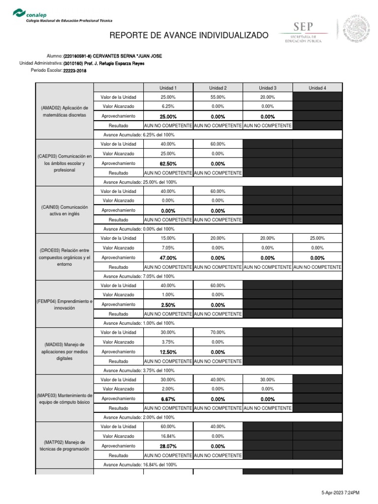 Reporte de Avance Individualizado | PDF