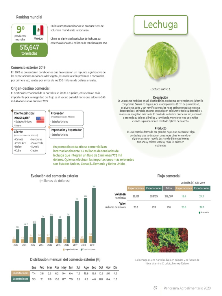Lechuga Infografia 2020 | PDF | Lechuga | Agricultura