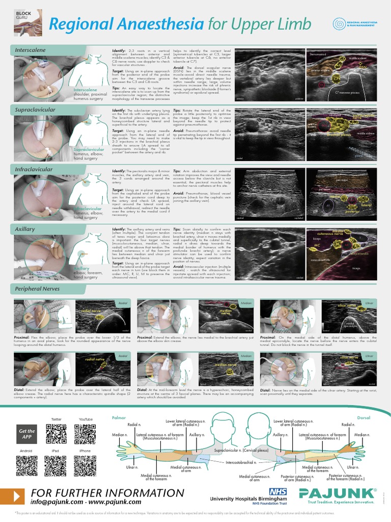 Regional Anaesthesia: For Upper Limb | PDF | Elbow | Human Leg
