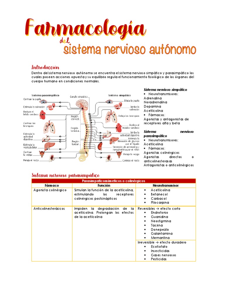 Farmacología Del Sistema Nervioso Autónomo | PDF | Acetilcolina | Especialidades Medicas