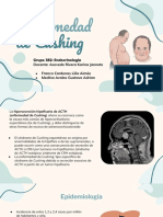 Reflejo o Triada D Cushing | PDF | Hipertensión | Anatomía humana