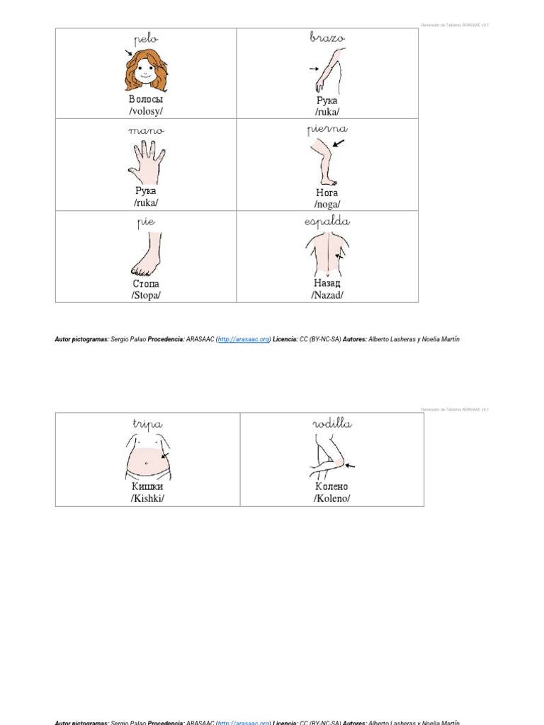 Partes Del Cuerpo RUSO | PDF