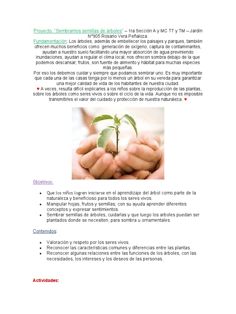 Sembramos Semillas de Arboles | PDF | Arboles | Semilla