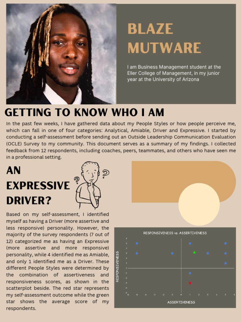 Professional Persona Summary 2 | PDF | Communication | Leadership Professional Persona Summary 2 | PDF | Communication | Leadership
