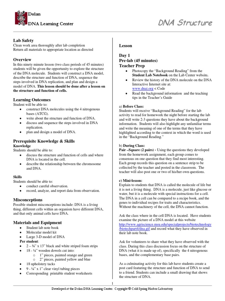 Lesson Plan DNA Structure | PDF | Dna | Nucleic Acids