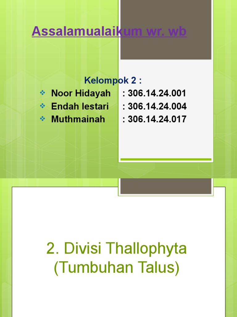 Assalamualaikum Wr. WB: Noor Hidayah: 306.14.24.001 Endah Lestari: 306 ...