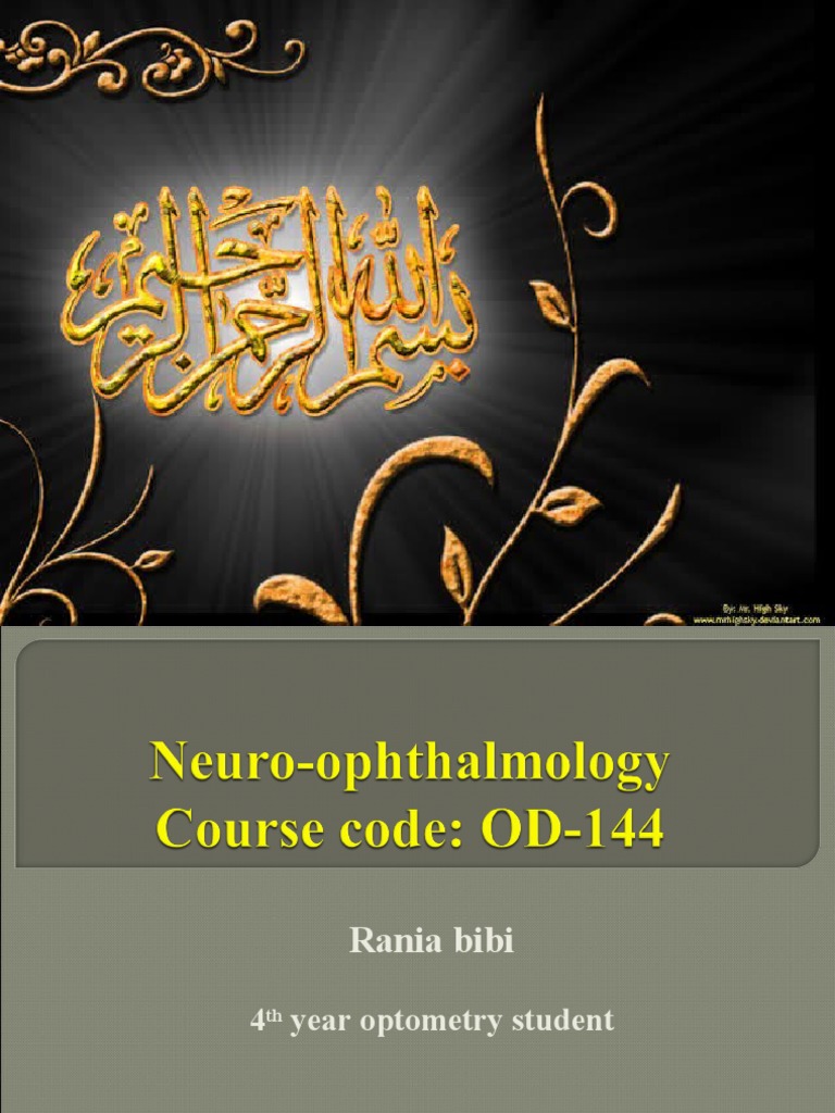 Visual Cortex | PDF | Visual Cortex | Visual System