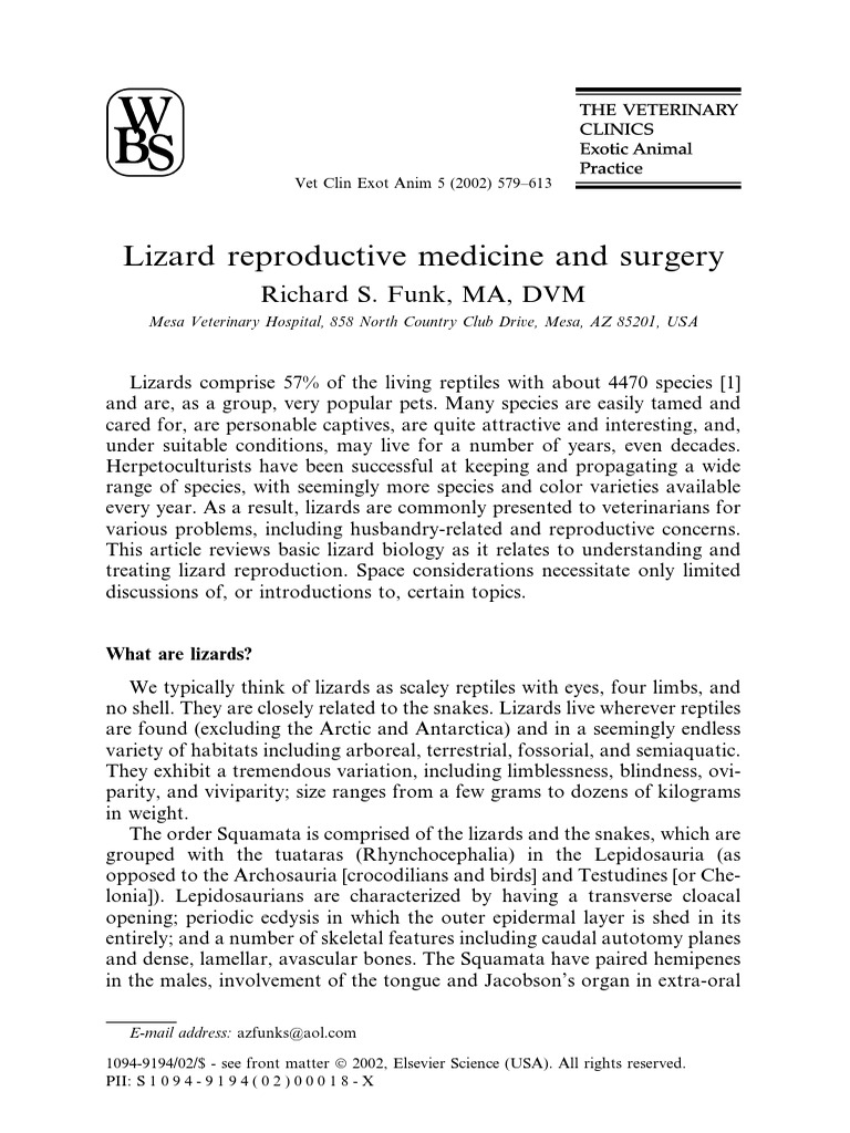 Lizard Reproductive Medicine and Surgery | PDF | Lizard | Egg