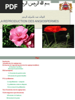 Le Carpelle : Organe des Angiospermes | PDF | Fruit | Embryon